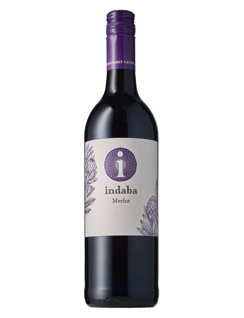 Indaba Merlot - Cape Classics